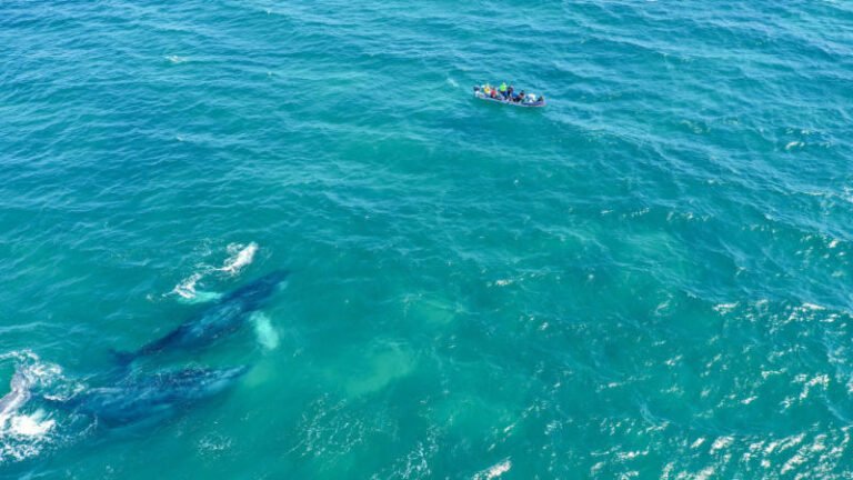 Manta, Ecuador | All You Need Is Ecuador