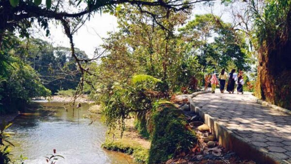 Puyo, Ecuador | All You Need Is Ecuador